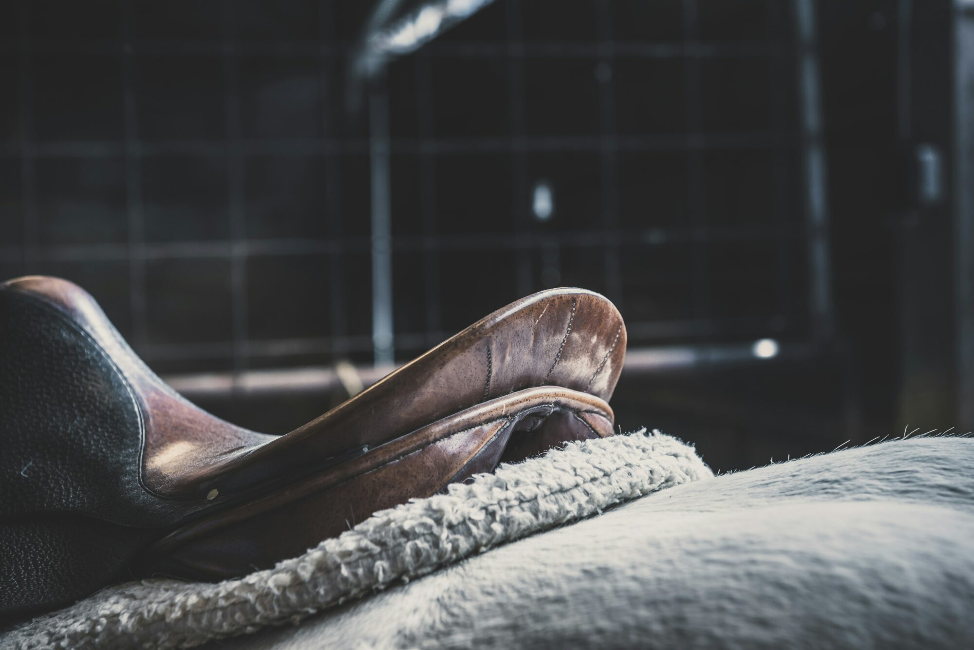 L'ajustement de la selle ou saddle-fitting - La Clinique du Cheval